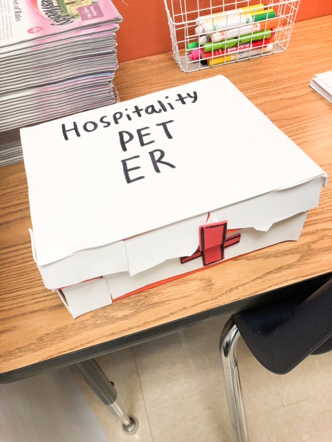 Desk Pets - Hillary's Teaching Adventures